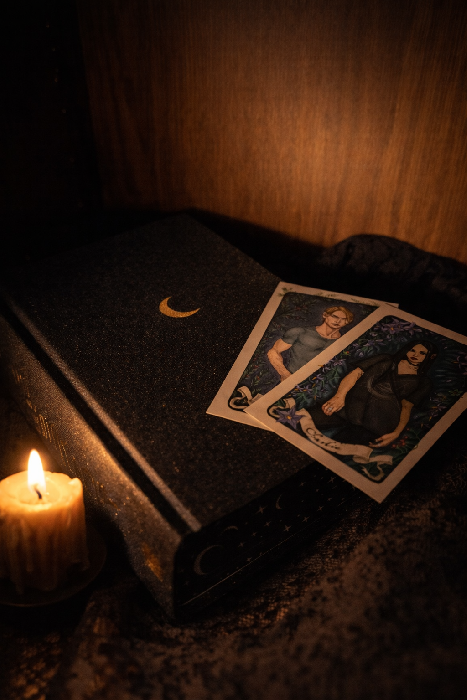 Dief van de nacht- Holly Black :: Annelies leest